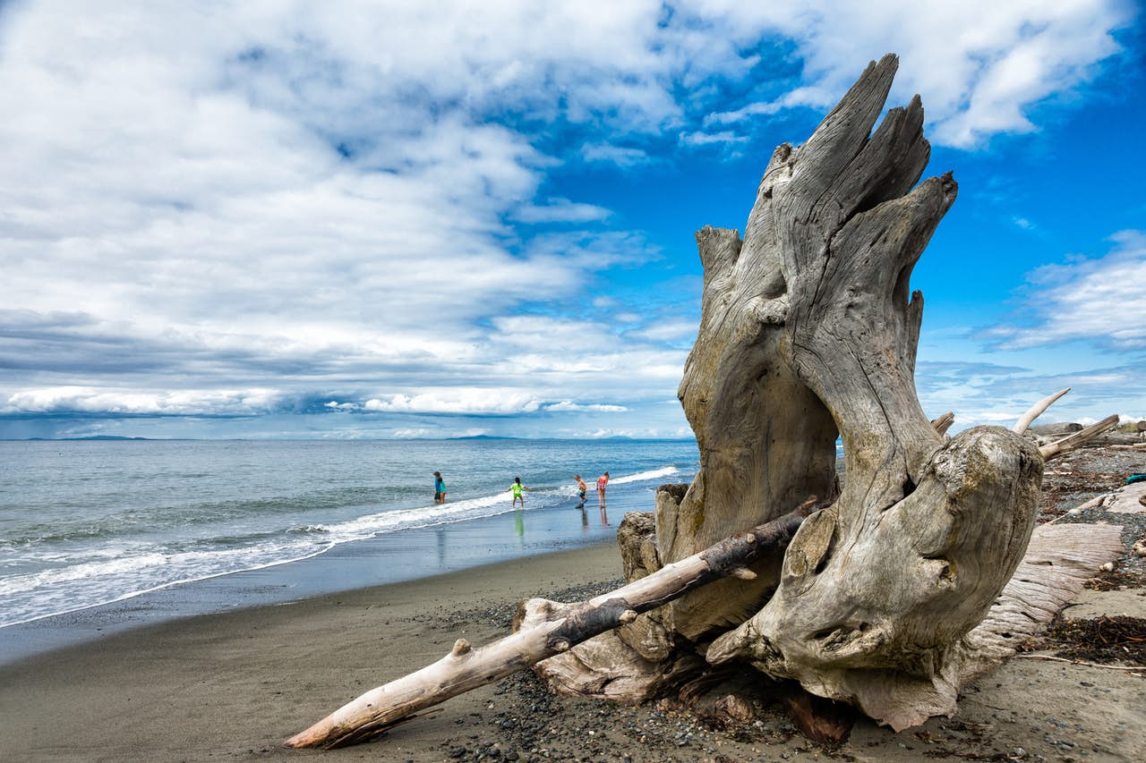 Washington Coastal Towns You Have to Visit | Vacasa