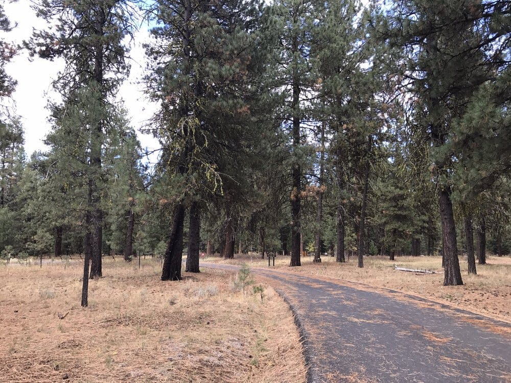 9 Best Things to Do in McCall, Idaho | Vacasa